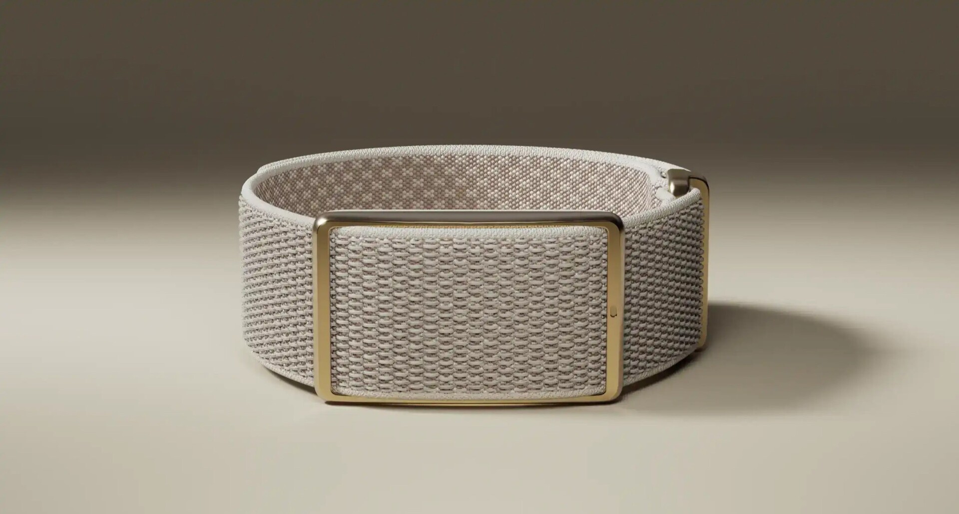 Polar Loop houdt gezondheid en fitness bij zonder scherm of abonnement ...